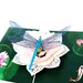 Turtle 3D Pop up Card - Etsy