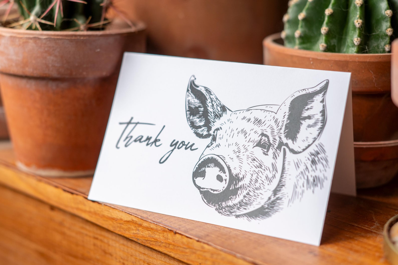 Pig Thank You Cards Cattle Hampshire Yorkshire Duroc Berkshire Cards ...