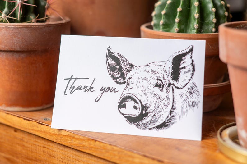 Pig Thank You Cards Cattle Hampshire Yorkshire Duroc Berkshire Cards ...