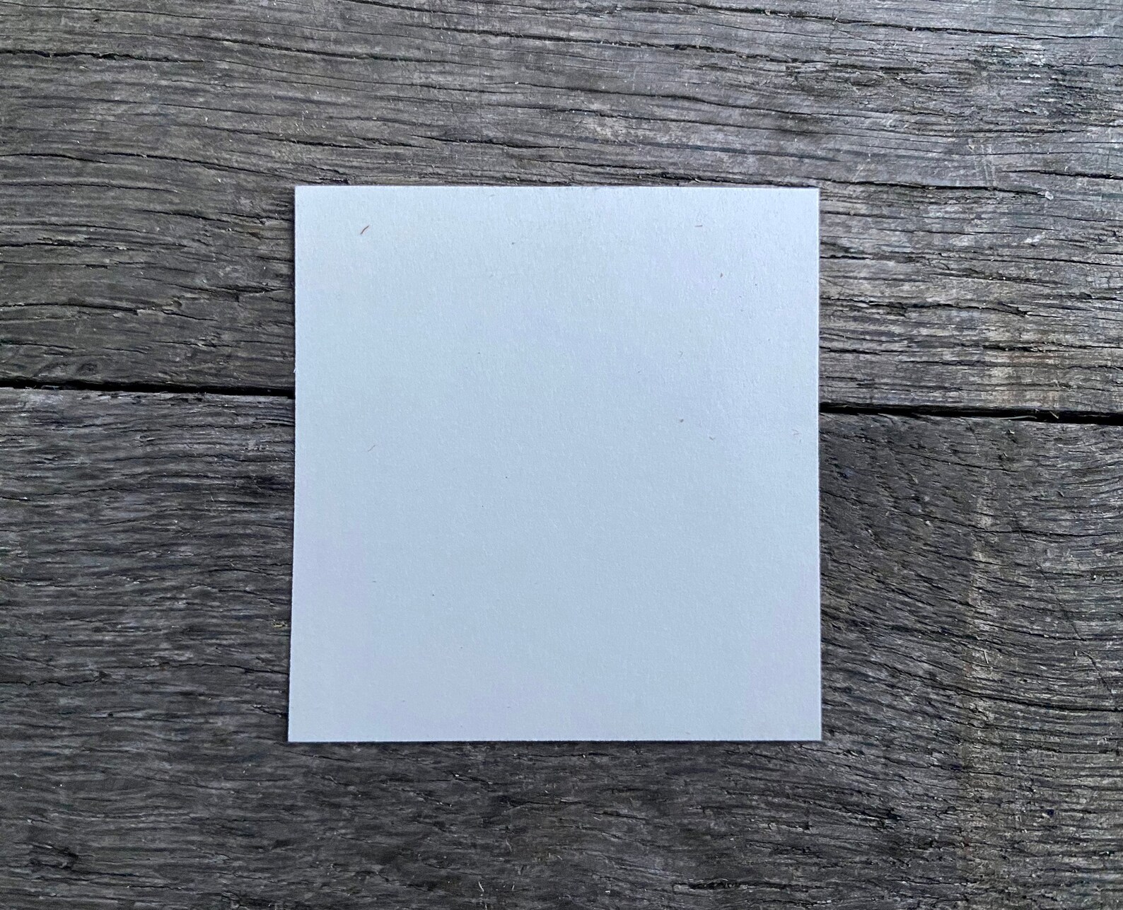 Risque Lady Photograph, Original Photo With Plastic Frame, Vintage - Etsy