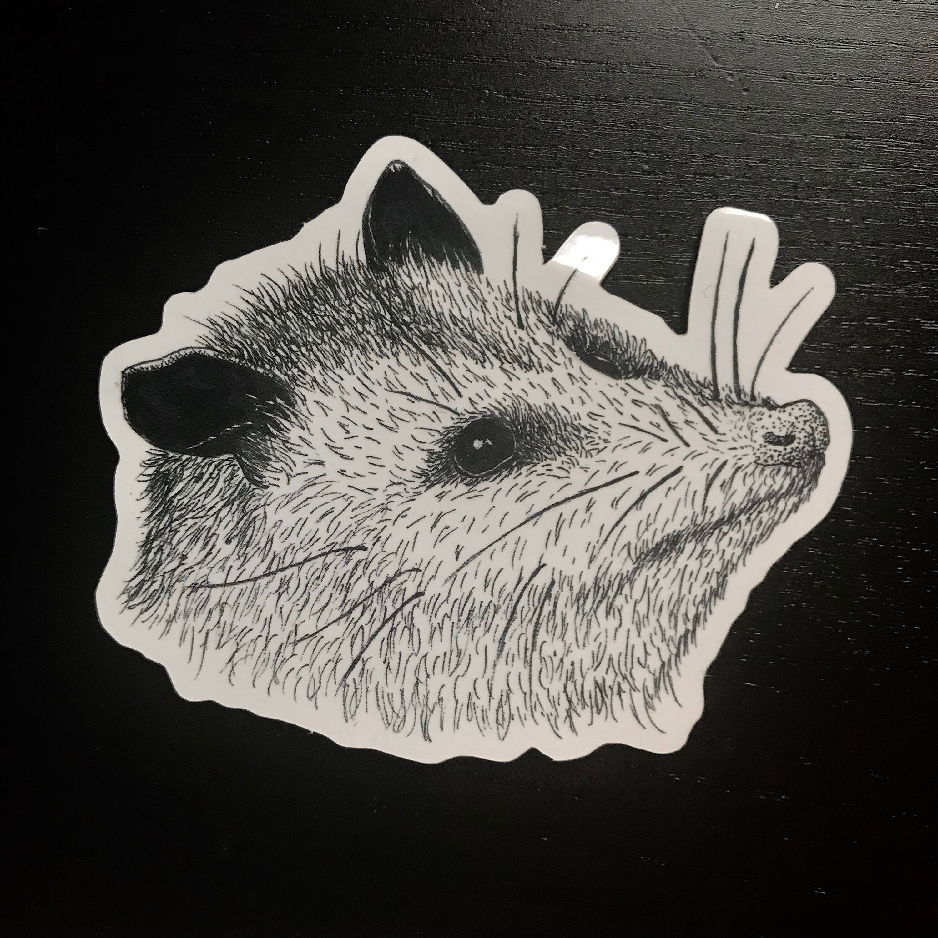 Opossum Sticker Pack 2 Opossum Stickers | Etsy