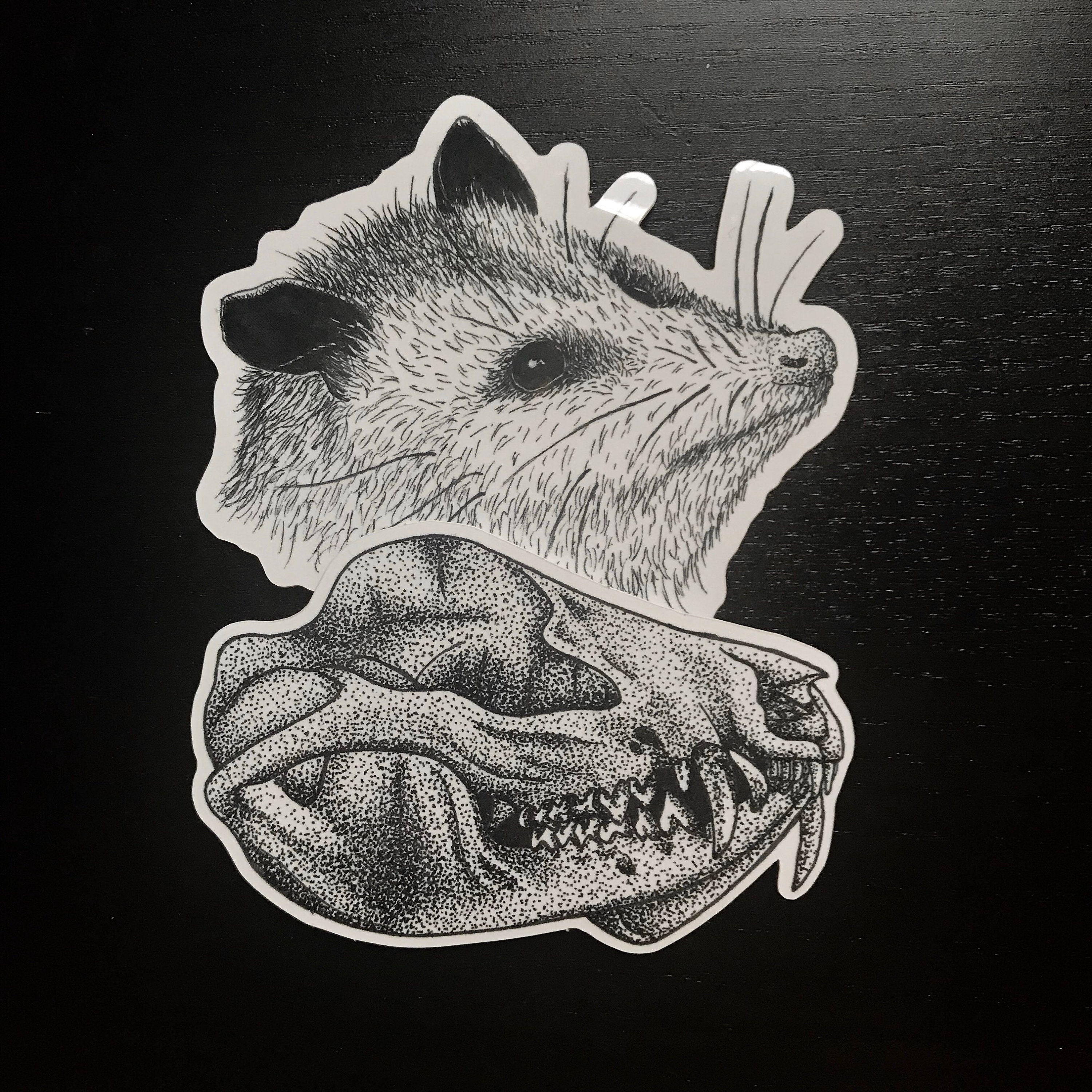 Opossum Sticker Pack 2 Opossum Stickers - Etsy New Zealand