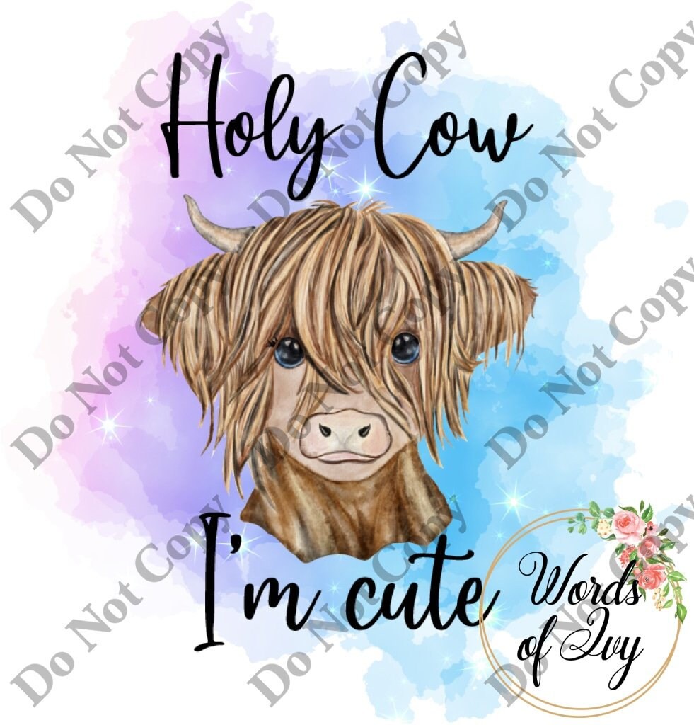 Sublimation Digital Download Holy Cow I'm cute baby | Etsy