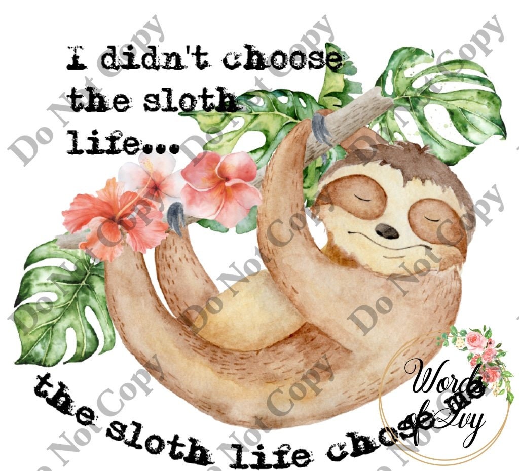 Funny Happy Birthday Sloth Meme