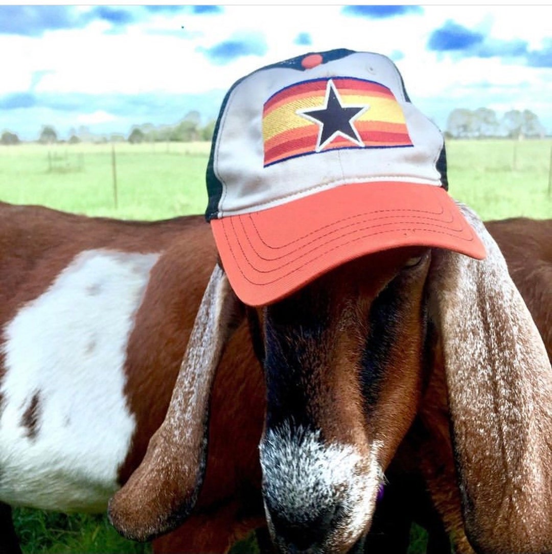 Houston Astro Star Cap - Etsy