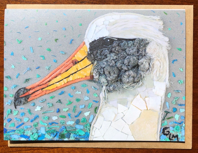 Plastic Albatross Note Card Pack - Etsy