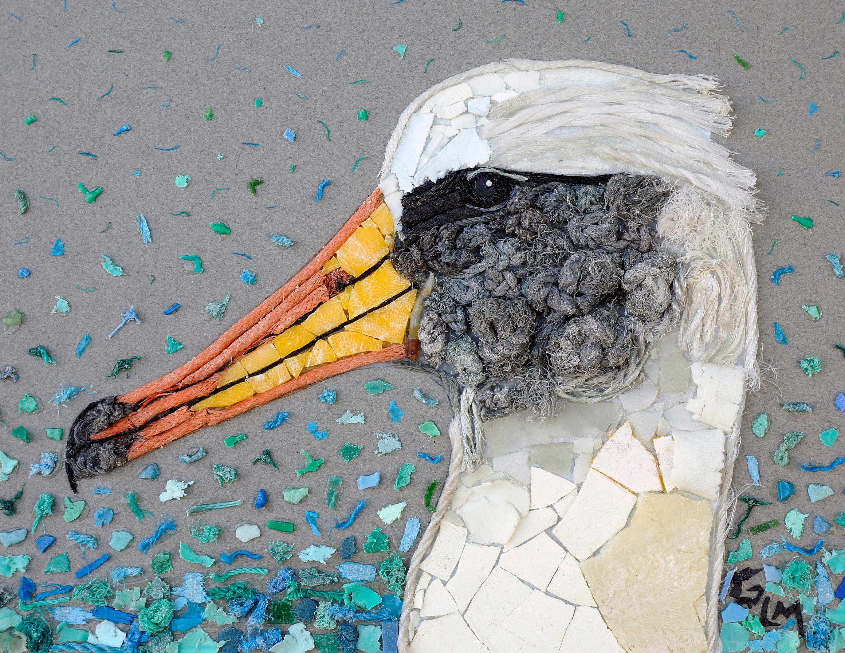 Albatross Bird Plastic