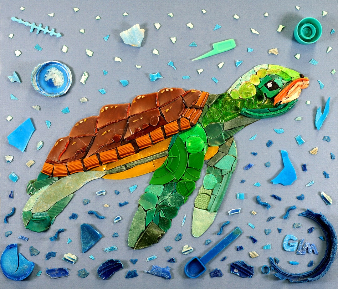 Plastic Sea Turtle Note Card Pack - Etsy