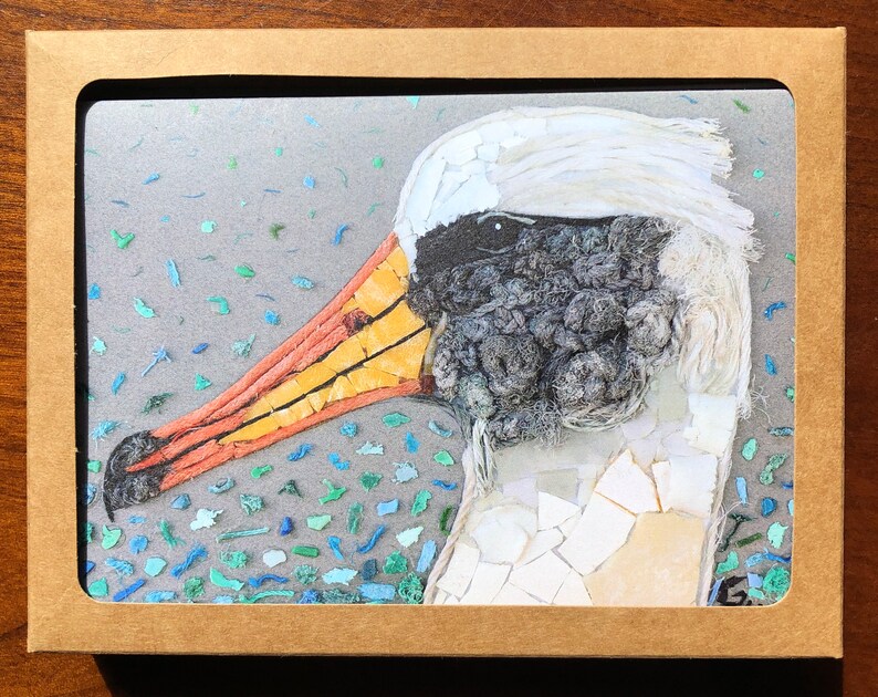 Plastic Albatross Note Card Pack - Etsy
