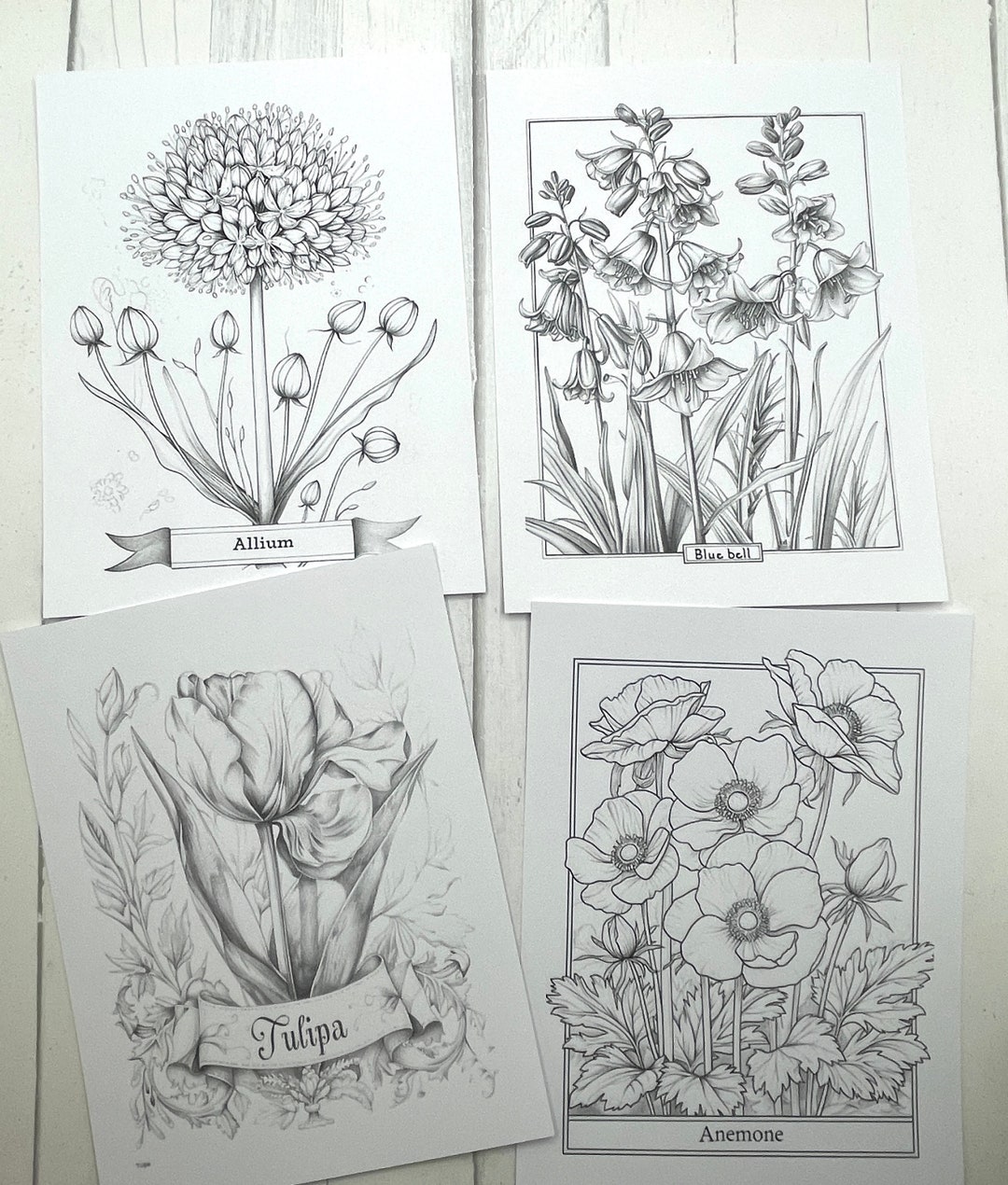 Coloring Card Panels Botanical Flowers 20 Designs White Cardstock for ...