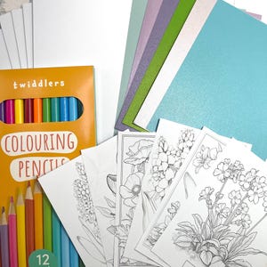 DIY Botanical Card Kit 6 Cards Color Your Own All Occasion Greeting ...