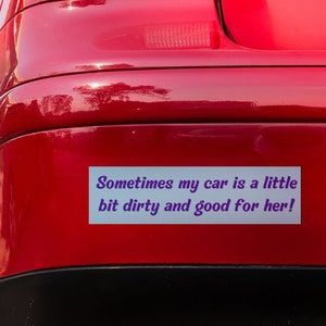 Dirty Car Bumper Sticker Gen Z, Funny Bumper Sticker, Honk If You ...