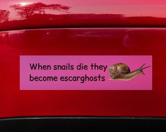 Cursed Bumper Sticker - Etsy Ireland