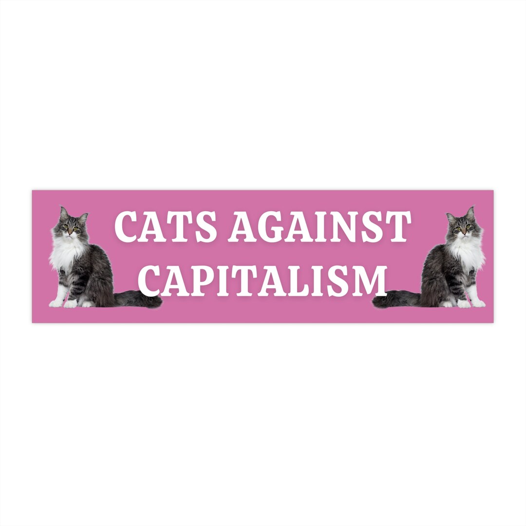 Cats Against Capitalism Bumper Sticker, Funny Leftist Car Decal - Etsy