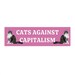 Cats Against Capitalism Bumper Sticker, Funny Leftist Car Decal - Etsy