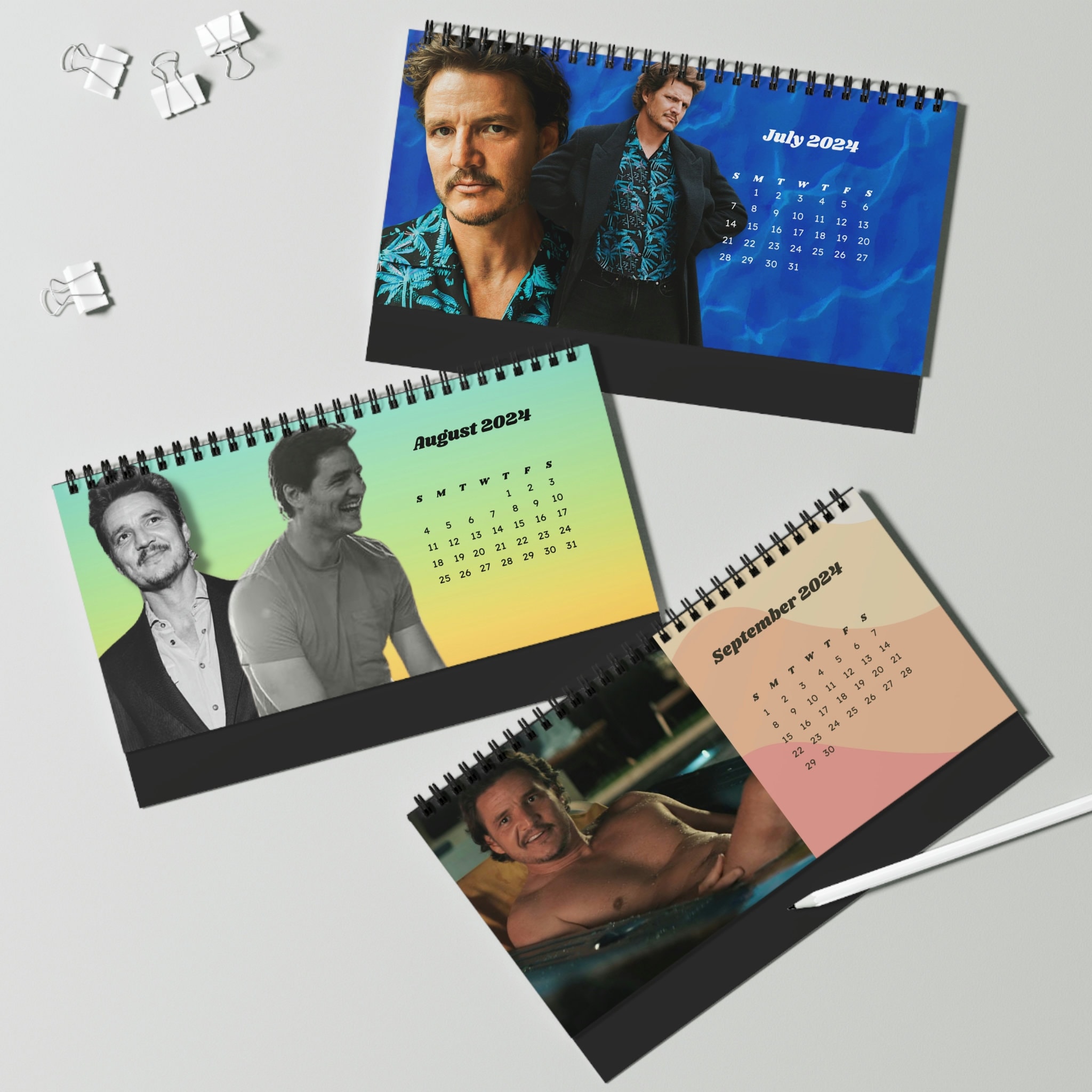Pedro Pascal 2024 Desk Calendar, Gifts for Pedro Pascal Fan, Pop ...