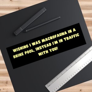 Brine Pool Bumper Sticker Funny, Cursed Car Stickers for Bumper, Weird ...