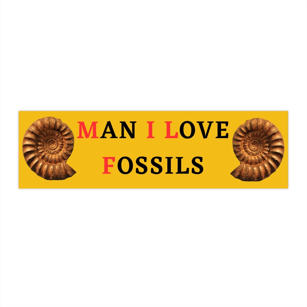 Fossils MILF Bumper Sticker, I Brake for Rocks Sticker, Gemstone ...