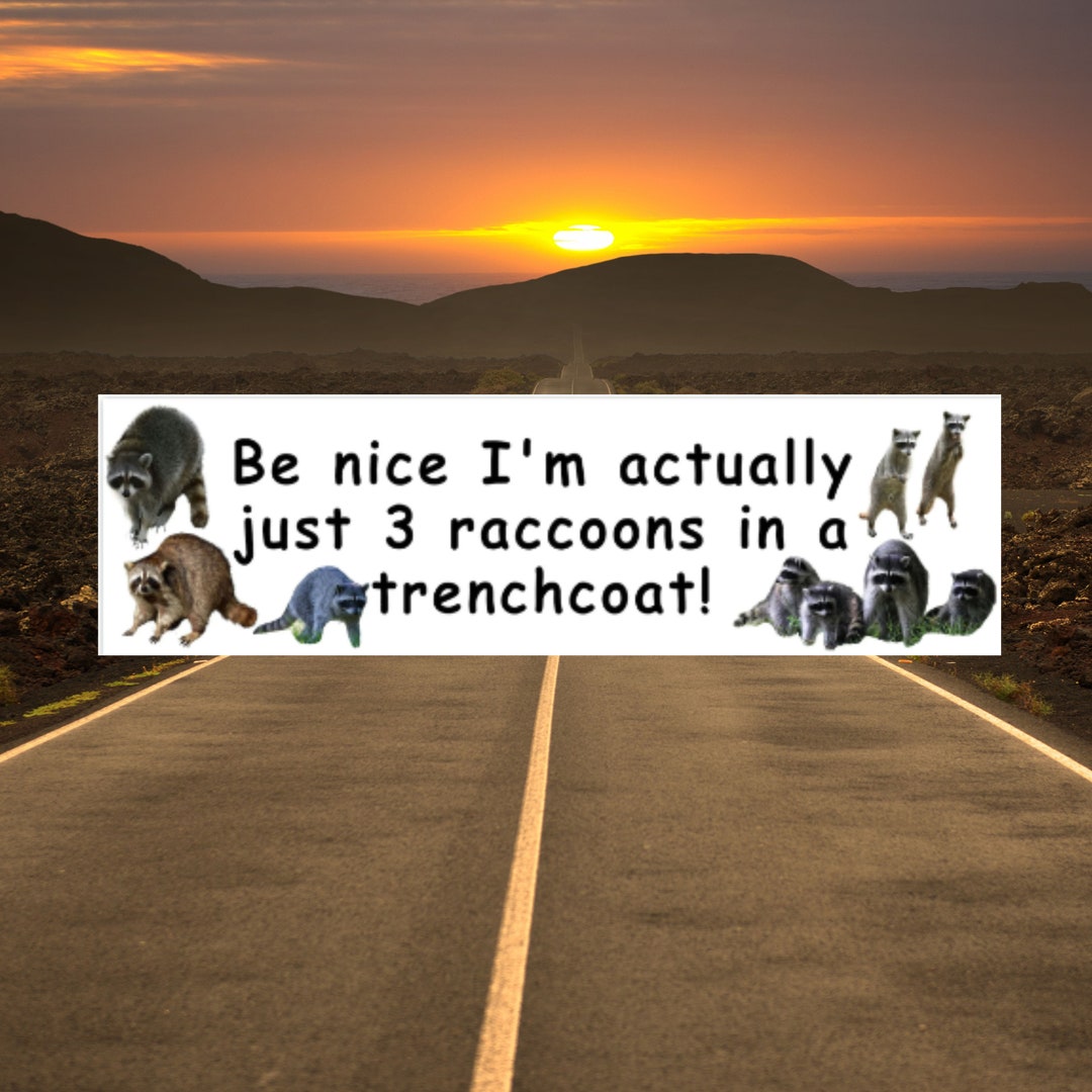 Meme Raccoon Bumper Sticker, Funny Raccoon Bumper Sticker Gen Z, Possum ...