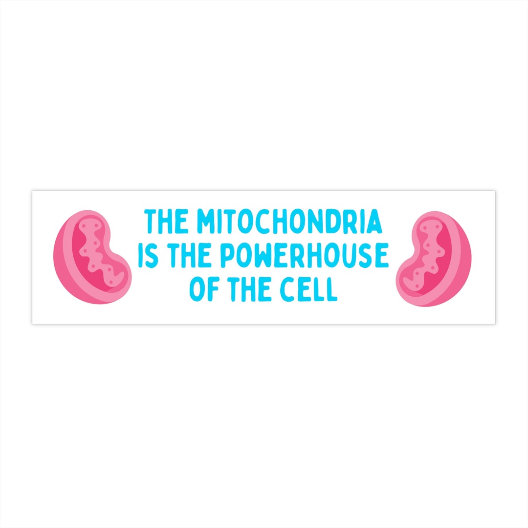 Mitochondria Bumper Sticker Funny, STEM Stickers Nerdy, Cursed Car ...