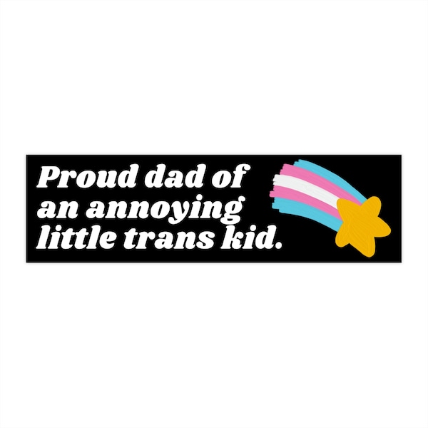 Trans Rights Bumper Sticker - Etsy