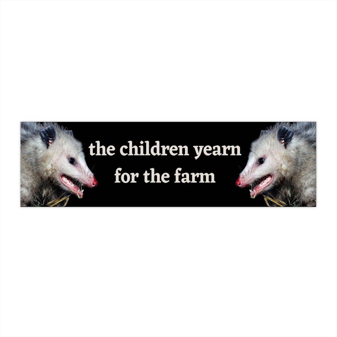 The Children Bumper Sticker Funny, Cute Car Sticker Decals, Cursed ...