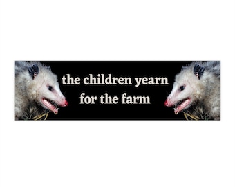 Wizard Bumper Sticker Funny, Cute Car Sticker Decals, Cursed Bumper ...