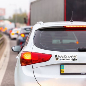 Meme Raccoon Bumper Sticker, Funny Raccoon Bumper Sticker Gen Z, Possum ...