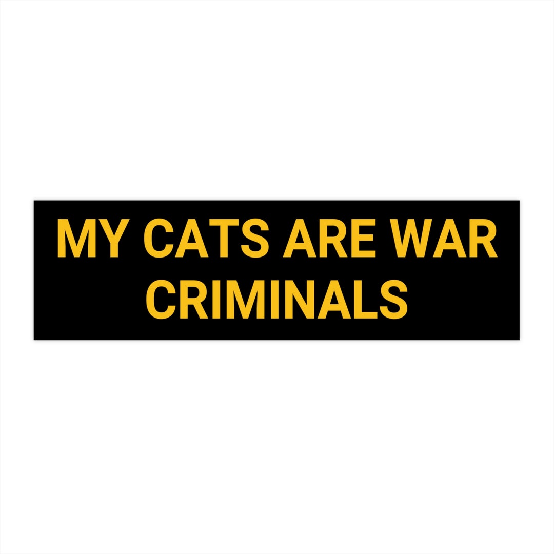 My Cat is a War Criminal Sticker Funny, Cursed Meme Bumper Stickers ...