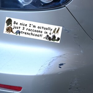 Meme Raccoon Bumper Sticker, Funny Raccoon Bumper Sticker Gen Z, Possum ...
