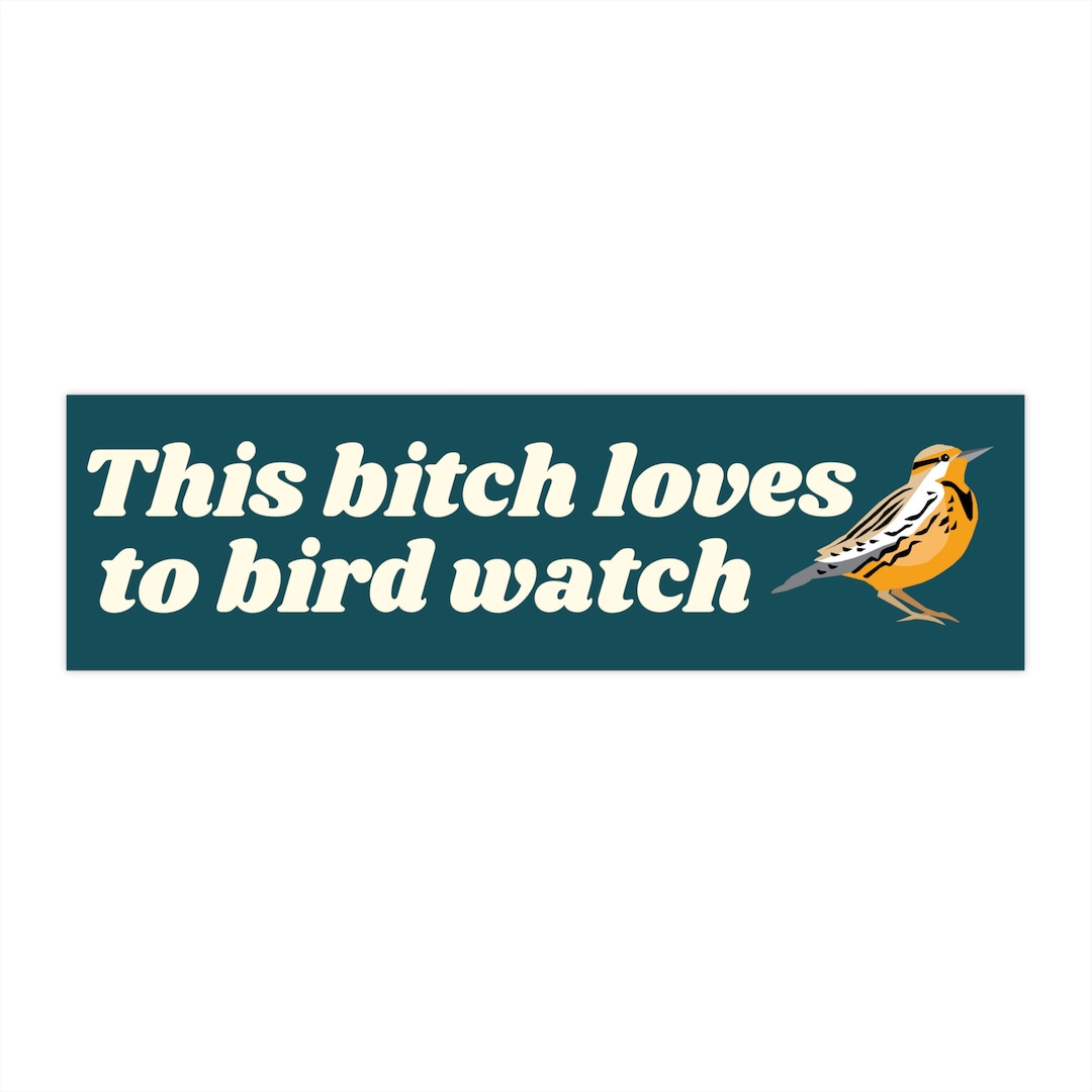 Bird Watcher Bumper Sticker, Funny Bumper Stickers Birds, Gifts for ...