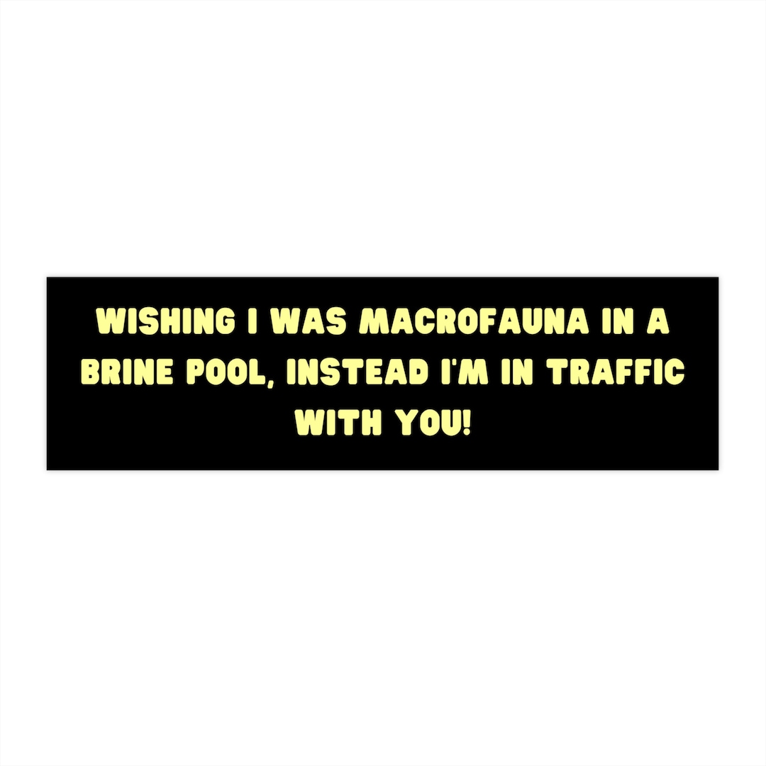 Brine Pool Bumper Sticker Funny, Cursed Car Stickers for Bumper, Weird ...