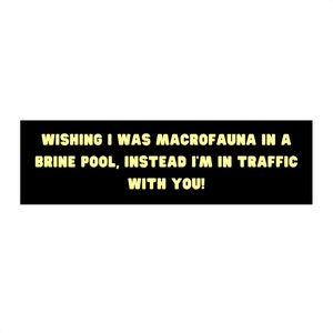 Brine Pool Bumper Sticker Funny, Cursed Car Stickers for Bumper, Weird ...