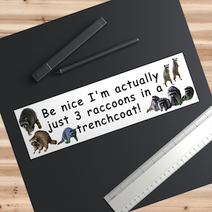 Meme Raccoon Bumper Sticker, Funny Raccoon Bumper Sticker Gen Z, Possum ...