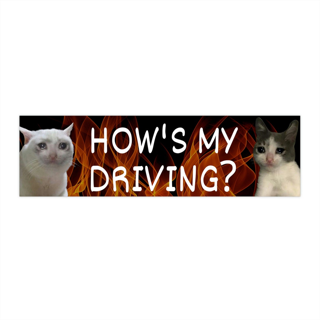 Cat Meme Bumper Sticker, Funny Bad Driver Bumper Sticker, Meme Cat ...