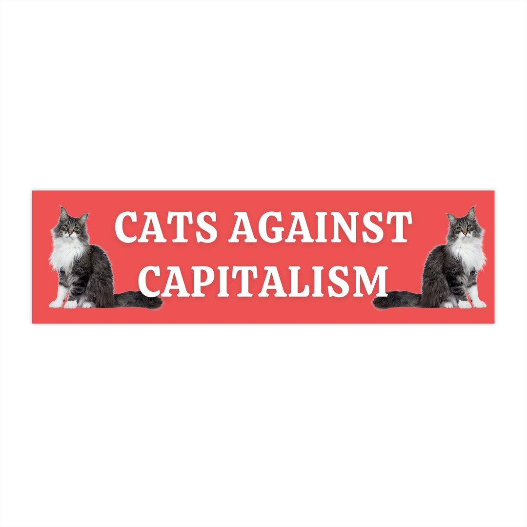 Cats Against Capitalism Bumper Sticker Funny, Cute Car Sticker Decals ...