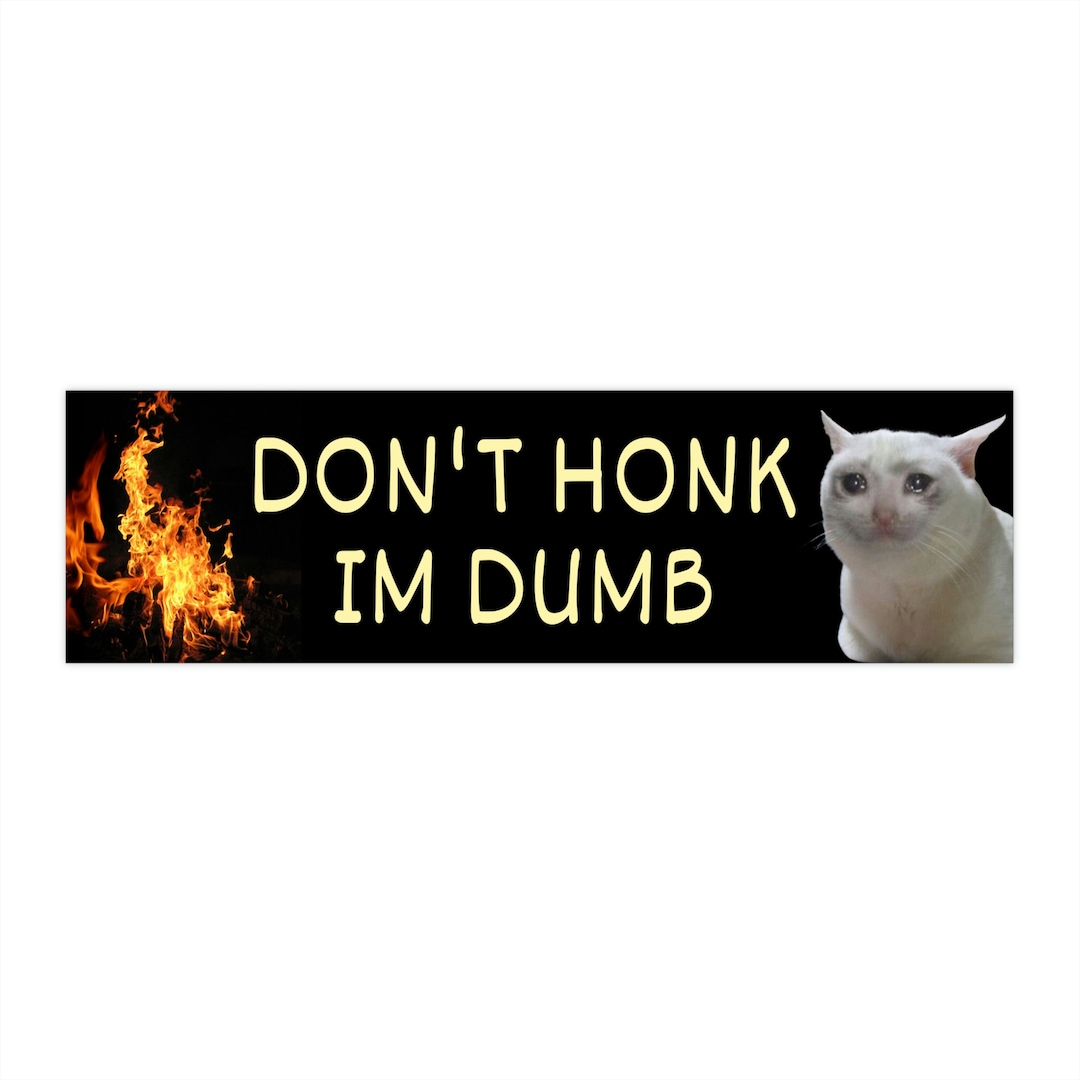 Funny Cat Meme Bumper Sticker, Funny Bad Driver Bumper Sticker, Meme ...
