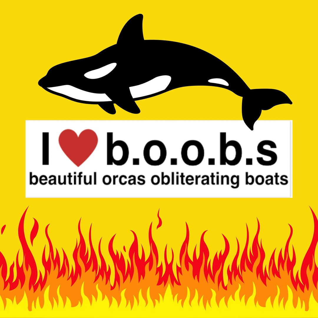 Team Orca Bumper Sticker, Funny Orca Whale Decal, Cursed Meme Car ...