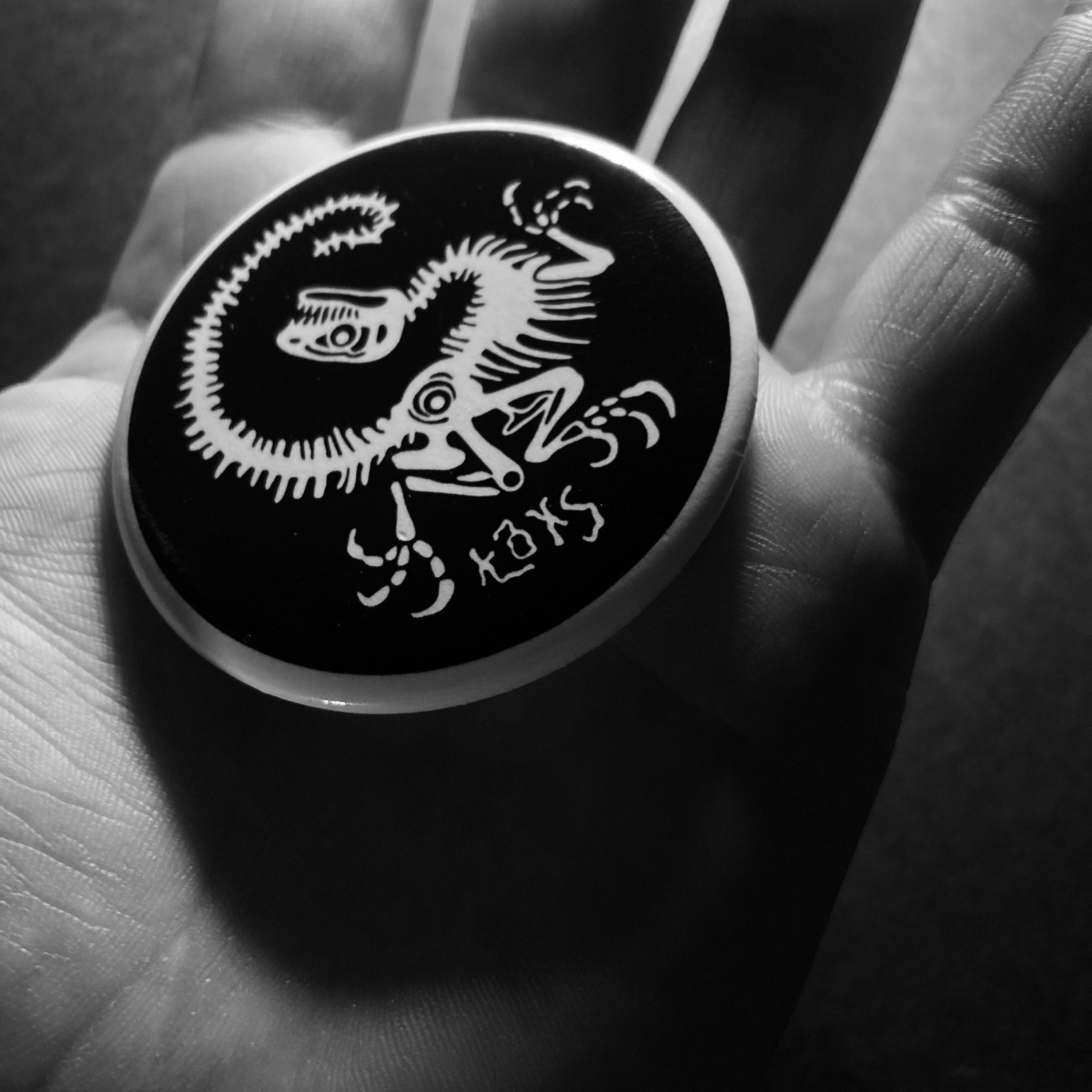 Evolution • Xxl Sticker Pack - Etsy