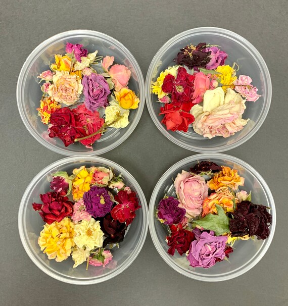 One Dozen Assorted Dried Roses | Etsy