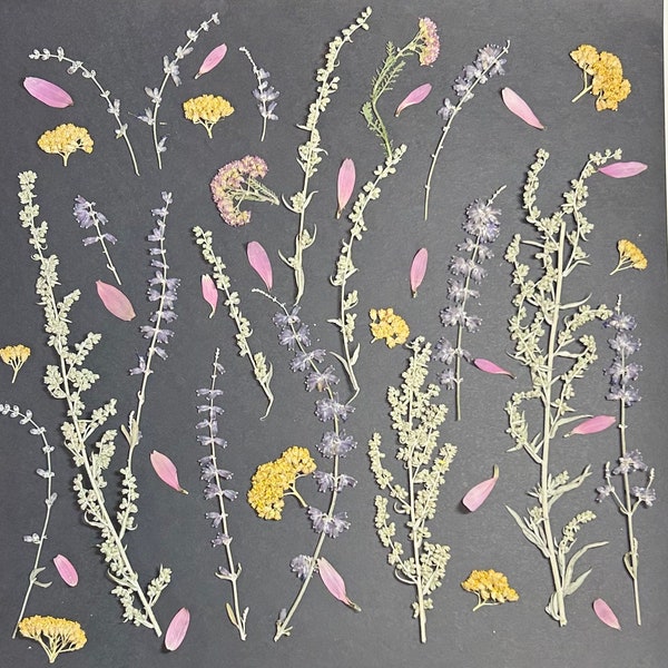 Pressed Tropical Flowers - Etsy