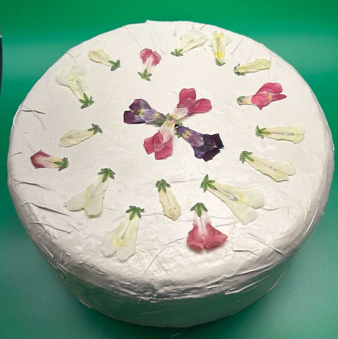 20 Organic and Edible Real Dried and Pressed Snapdragon Flowers - Etsy