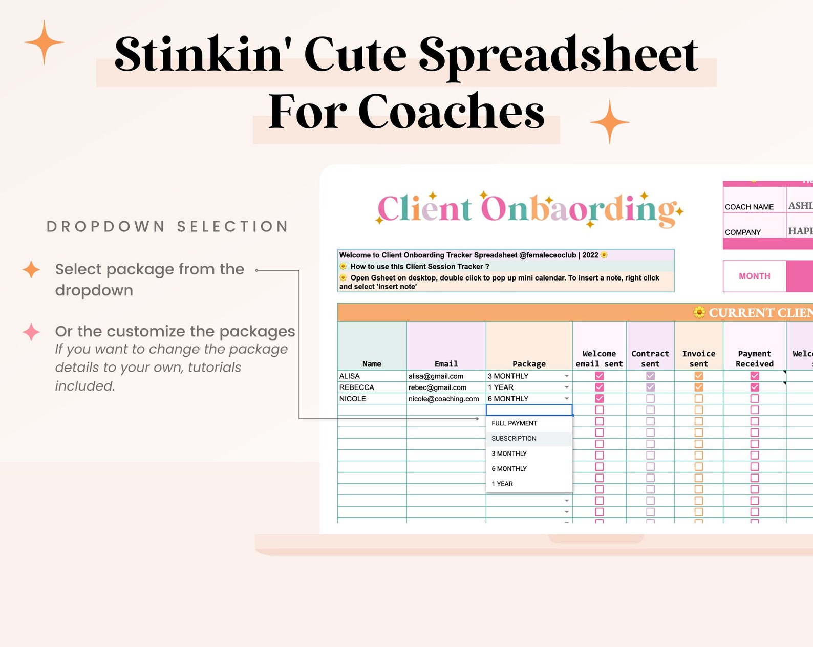Client Onboarding Tracker Spreadsheet for Coaches, CRM, Client ...