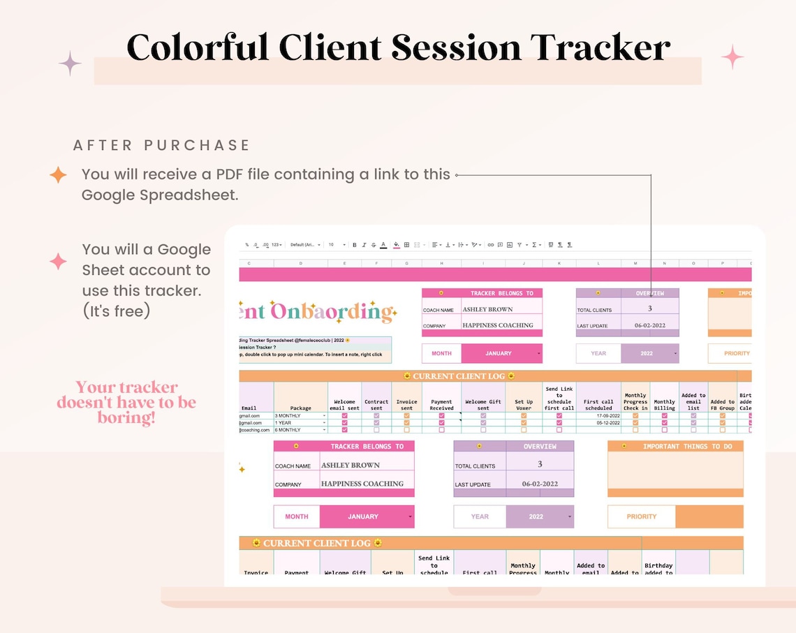 Client Session Tracker Spreadsheet for Coaches CRM Client - Etsy
