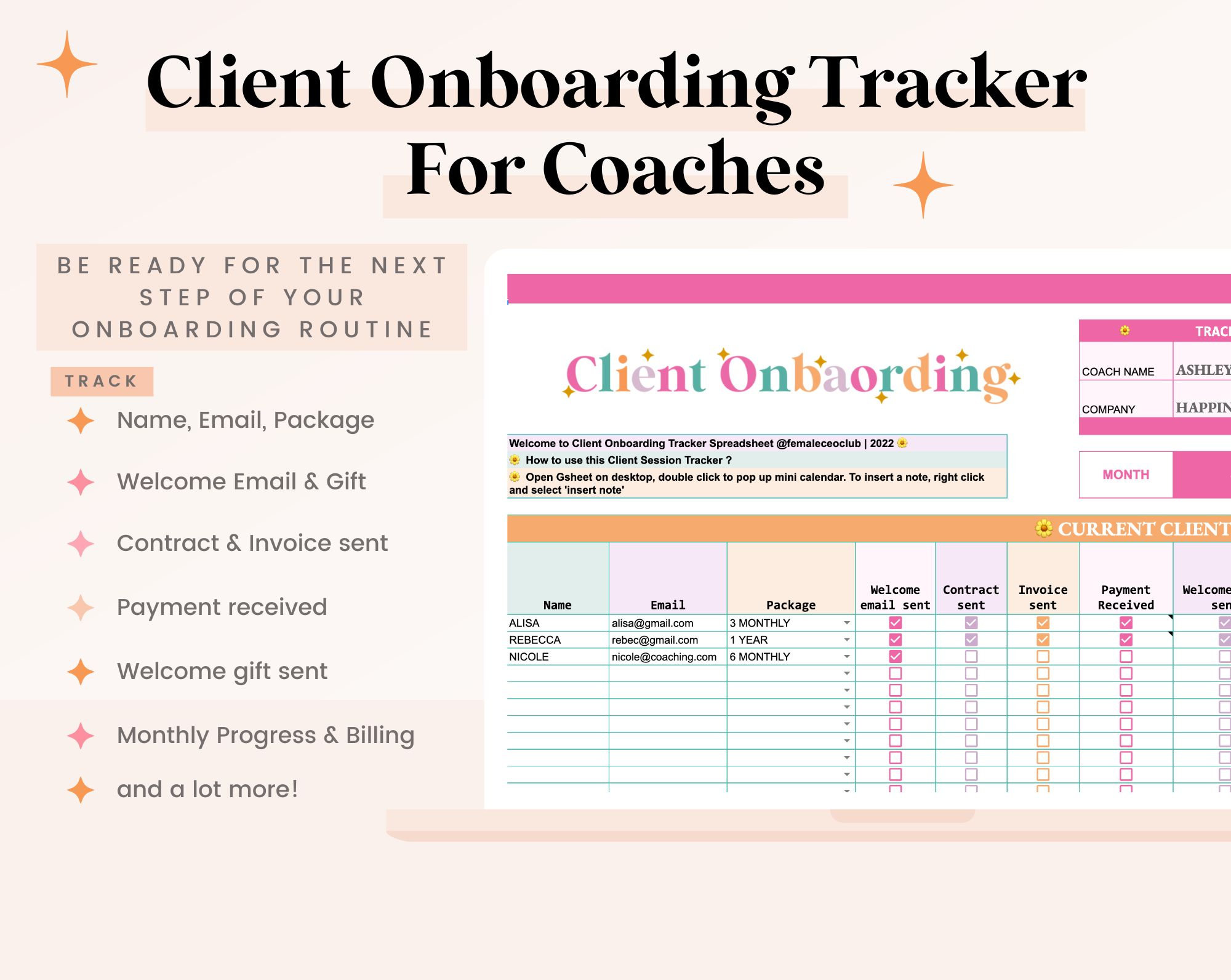 Client Onboarding Tracker Spreadsheet for Coaches, CRM, Client ...