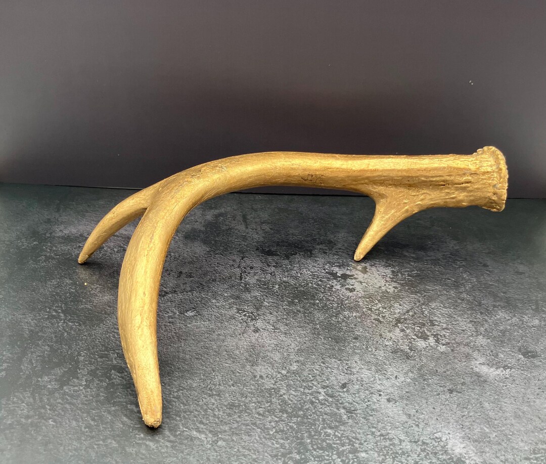 Gold Leaf Gilded Natural Deer Antler Whitetail Curiosity Bone Decor ...