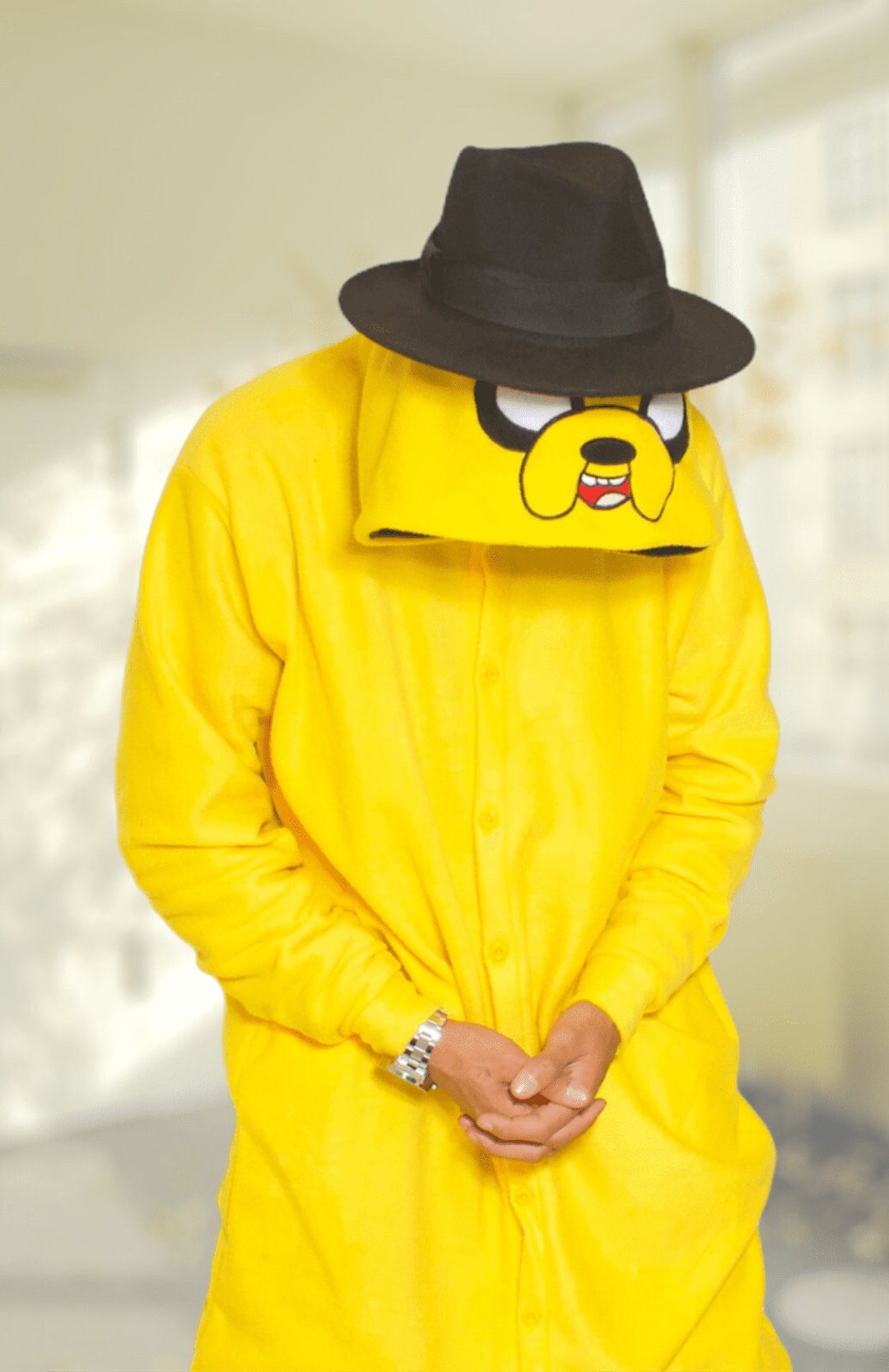Jake el perro, Hora de aventuras. pijamas, mamelucos, kigurumi, disfraz ...