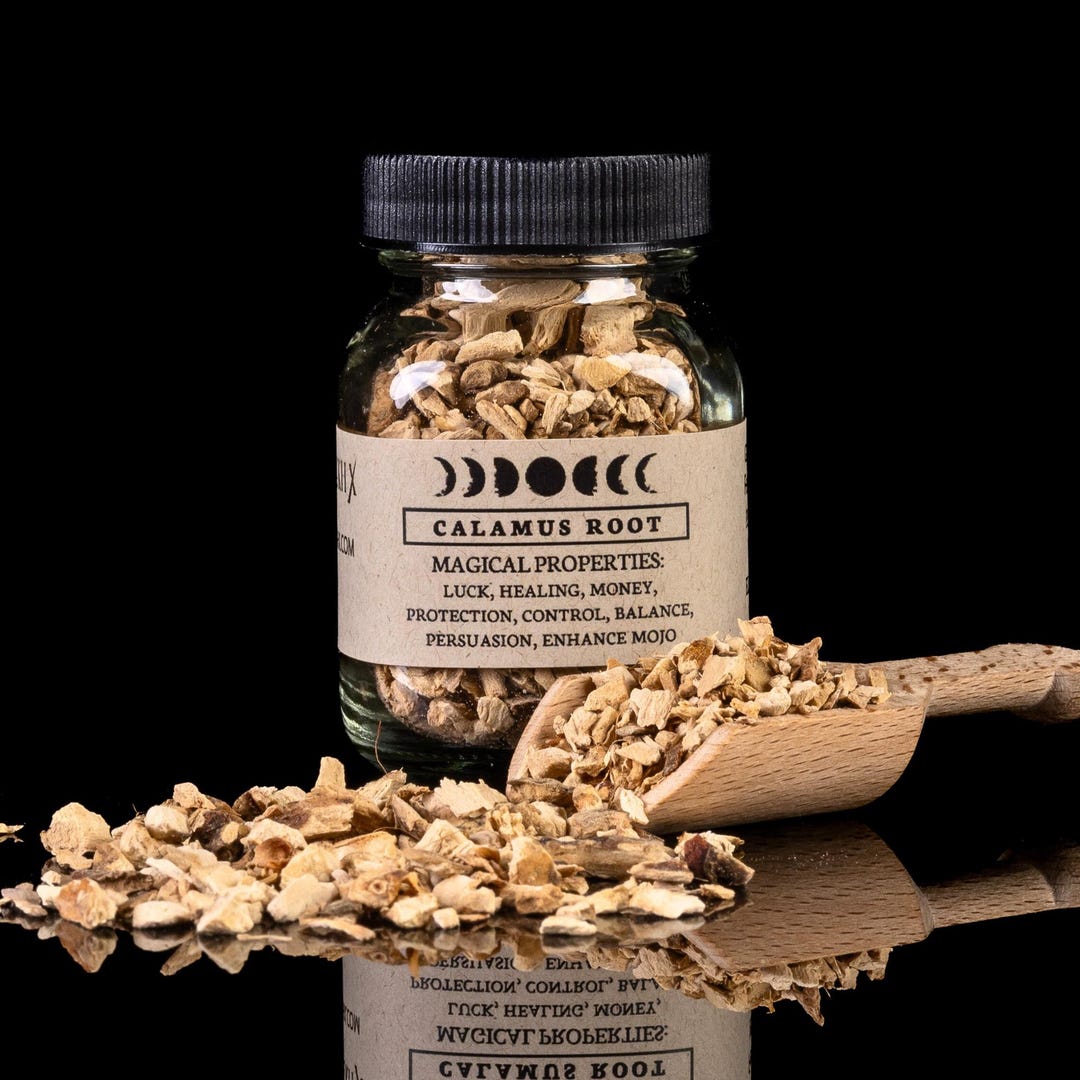 CALAMUS ROOT - Witchcraft Curio Herbs for Spellwork, Apothecary Root ...
