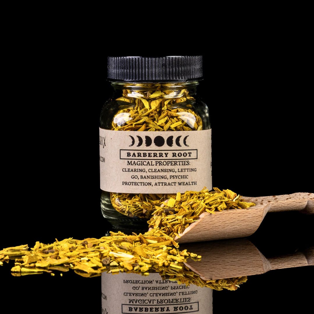 BARBERRY ROOT - Witchcraft Curio Herbs for Spellwork, Apothecary Root ...