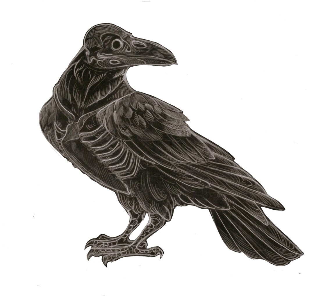 Bone Raven Sticker - Etsy